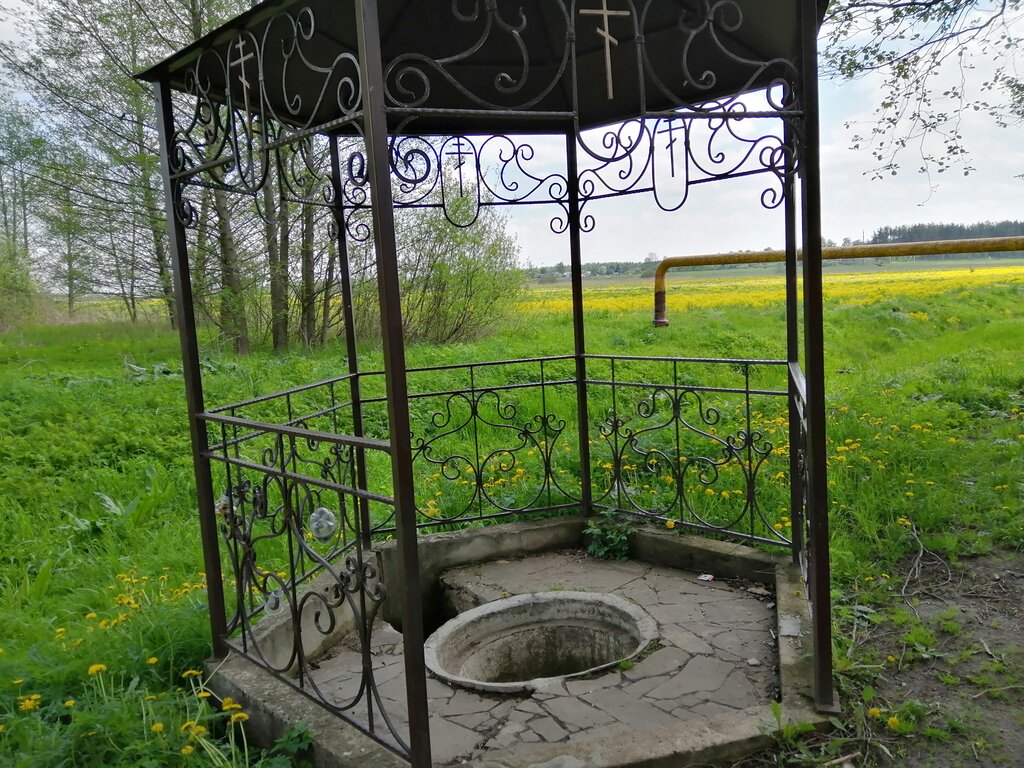 Pınar, çay Киселевичский ключ, Mogiliovskaya oblastı, foto