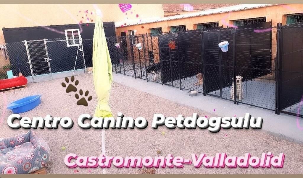 Veteriner klinikleri Centro Canino Petdogsulu, Kastilya ve Leon, foto