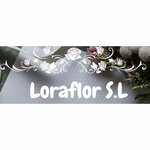 Loraflor S. L. (Polígono Industrial San Jerónimo No:1, Sevilla), çiçek teslimatı  Sevilla'dan