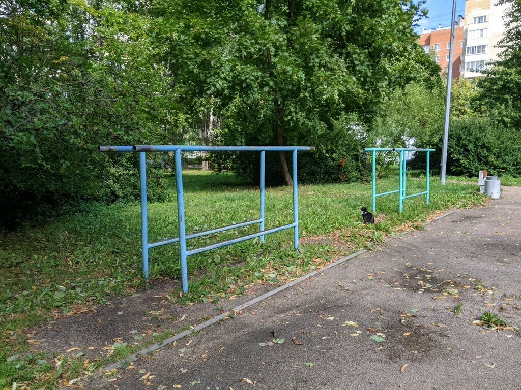 Spor alanı Спортплощадка, Saint‑Petersburg, foto