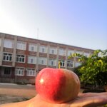Shkola № 3, Srednyaya, Mou (Yubileynaya ulitsa No:6, stanitsa Krylovskaya), ortaokul  Krasnodarski krayından