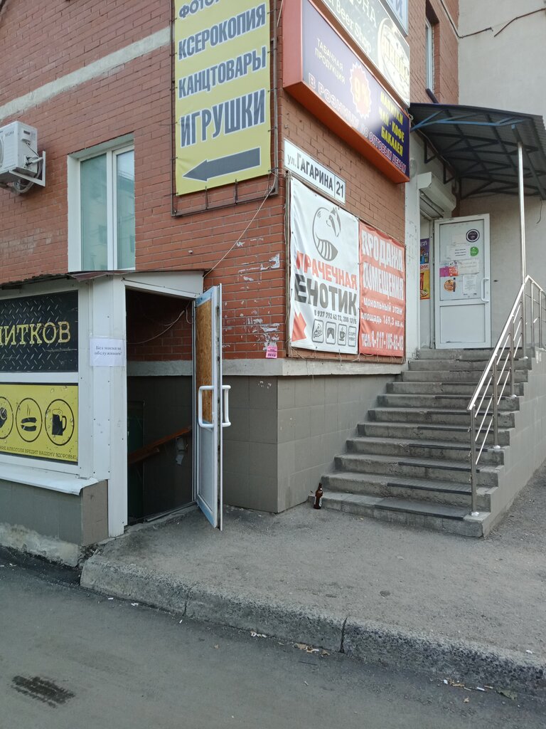 Çamaşırhaneler Raccoon, Samara, foto