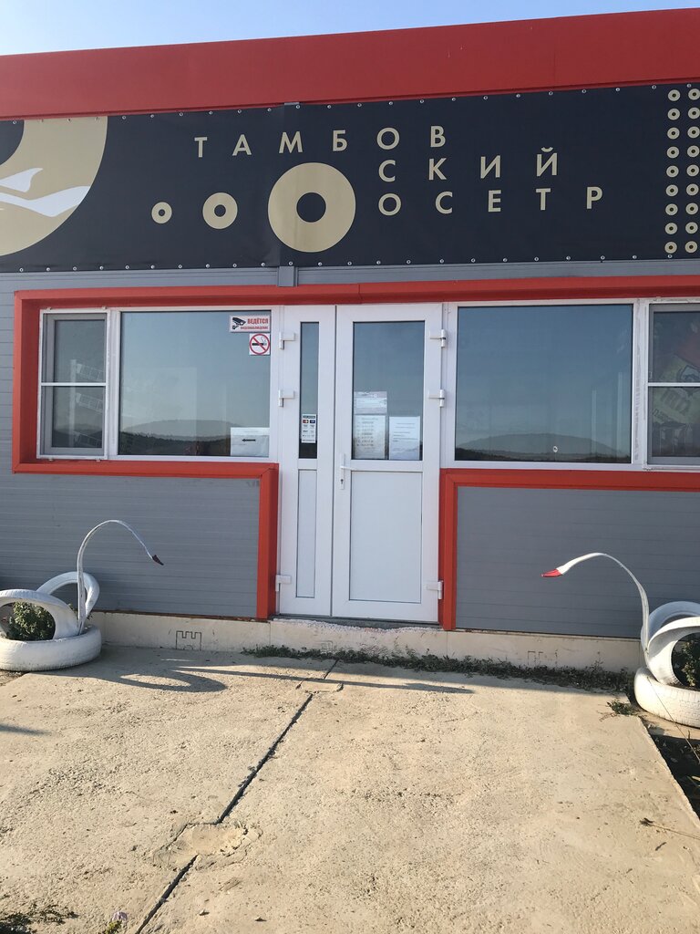 Tarım firmaları Тамбовский осётр, Tambovskaya oblastı, foto