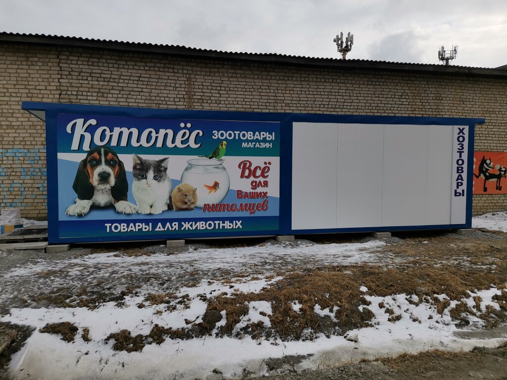 Petshop Котопес, Habarovski krayı, foto
