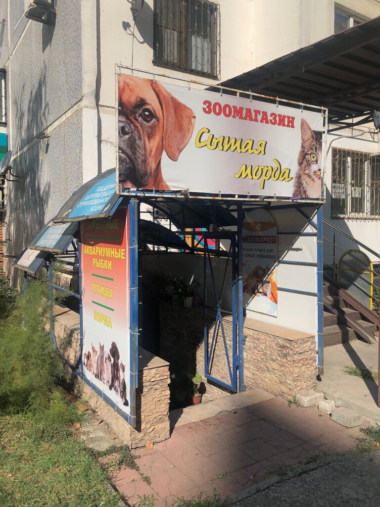Petshop Сытая морда, Krasnodar, foto