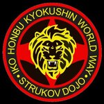 Strukov Dojo (ulitsa Fyodora Tyutcheva No:95А), spor kulüpleri  Voronej'den