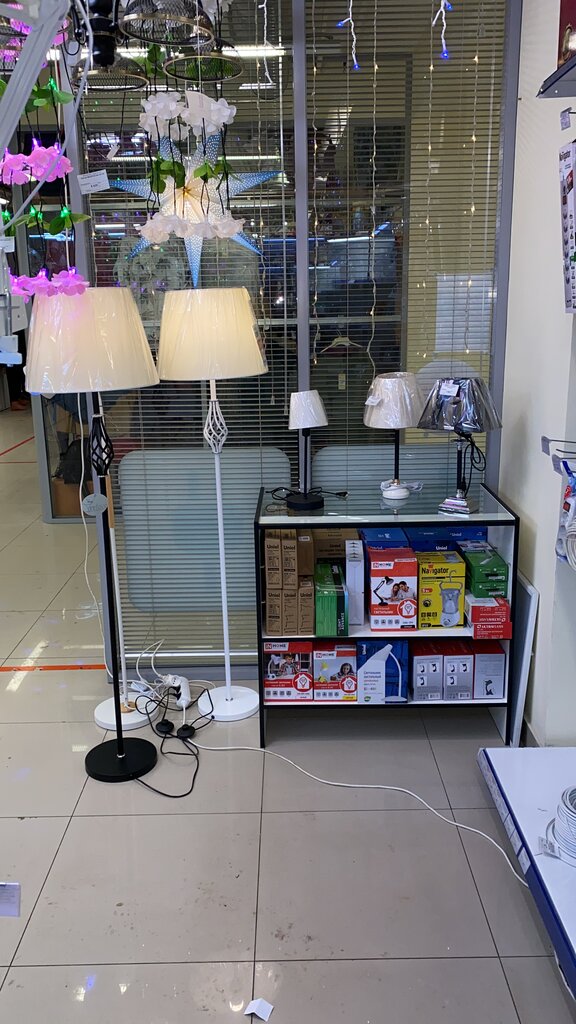 Elektrik ürünleri Svetlo-vsem, Moskova, foto