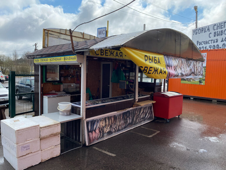 Balık ve deniz ürünleri Свежая рыба, Saint‑Petersburg ve Leningradskaya oblastı, foto