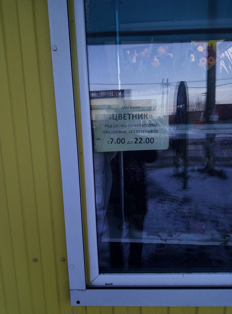 Çiçekçiler Цветочный блюз, Salsk, foto