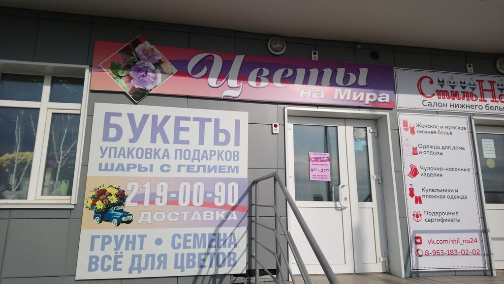 Çiçekçiler Цветы на Мира, Sosnovoborsk, foto