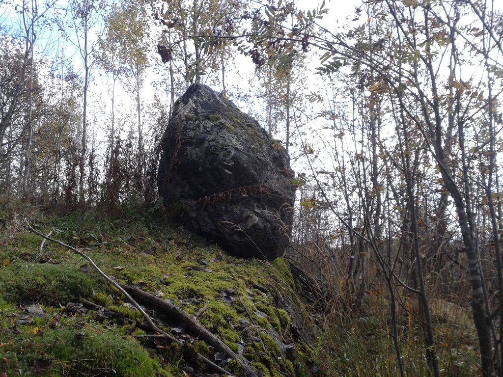 Dağ zirvesi Гора Рунаконскенкаллио 103 метра, Karelya, foto