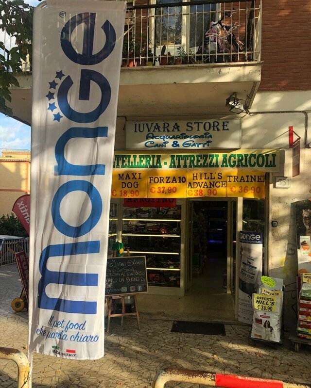 Akvaryumlar Iuvara Store, Roma, foto
