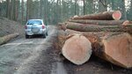 Sägerei Wildegg Schmid AG (Aargau, Lenzburg, Aarauerstrasse, 19), kereste üretim ve satış şirketleri  Aargau'dan