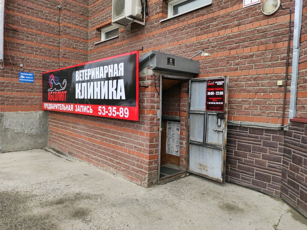 Veteriner klinikleri Absolyut, Barnaul, foto