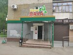 Magazin Nasha Dacha (Pobedy Avenue No:14), tohum satan yerler  Penza'dan