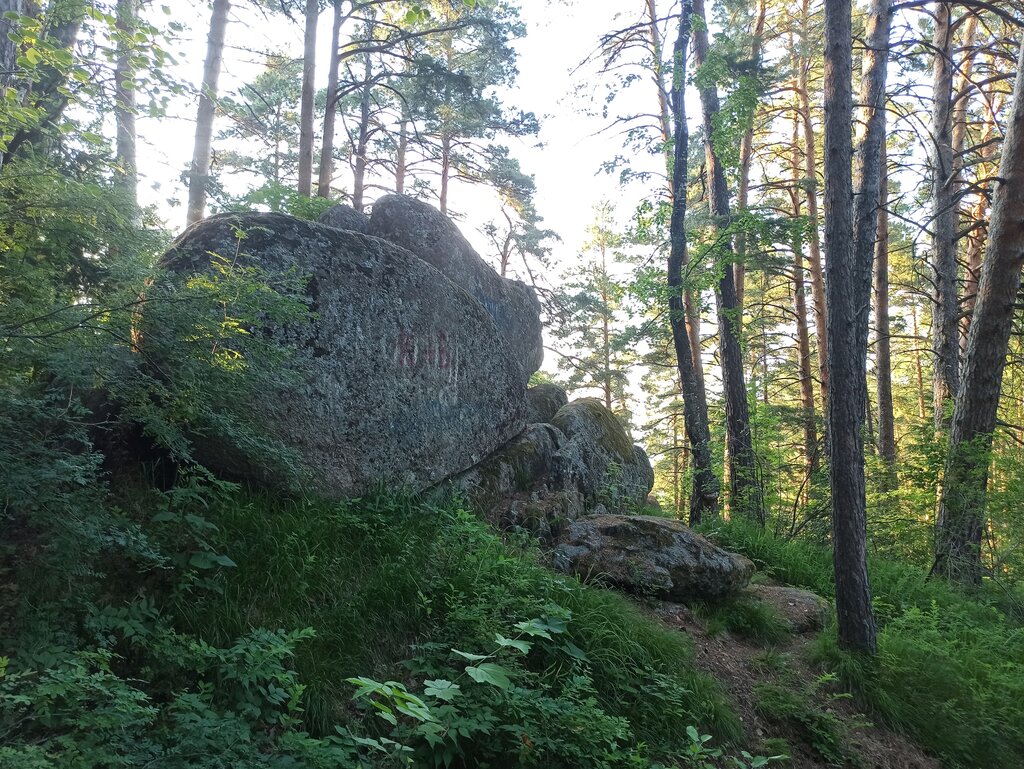 Dağ zirvesi Глухариные скалы, Altayski krayı, foto