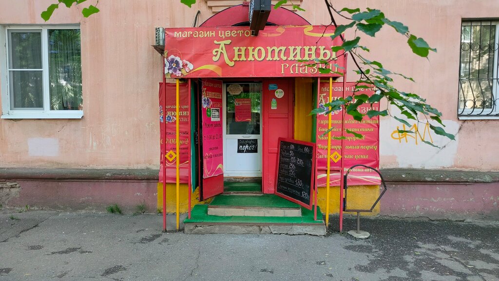 Çiçekçiler Анютины глазки, Yaroslavl, foto