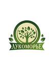Lukomorie (Krasnaya Street No:8), çocuk gelişim merkezleri  Petrozavodsk'tan