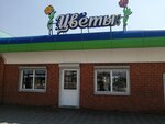 AS Floral No. 1 (Pervomayskaya ulitsa No:79А/25, stanitsa Otradnaya), çiçekçiler  Krasnodarski krayından