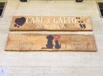 Cane & gatto mania (Via Tirino No:149, Montesilvano, Pescara), petshop