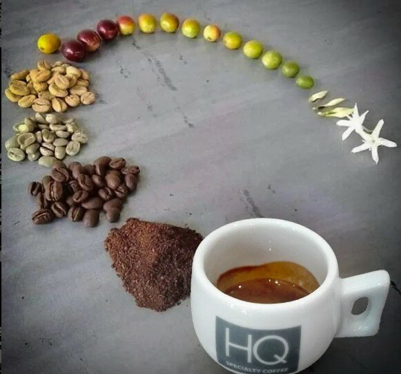 Kahve dükkanları Top Selections Caffè Bonani, Cenova, foto