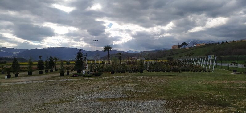 Peyzaj tasarımı Azienda Agricola di Bruno Giorgio Fiore, Calabria, foto