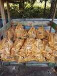 Tommasino F. T. (Liguria, Imperia, Via Sanremo), isıtma sistemleri ve ekipmanları  San Remo'dan