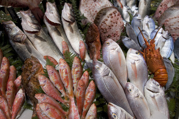 Balık çiftçiliği ve toptancıları Pescheria Sapore dei Mari, Marche, foto