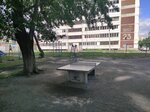 Площадка для настольного тенниса (Sverdlovsk Region, munitsipalnoye obrazovaniye Yekaterinburg, Ordzhonikidzevskiy City administrative district), spor alanı  Yekaterinburg'dan