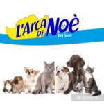 L’Arca di Noè - Gennaro Imparato (Via Tressanti No:12, Sala Consilina), akvaryumlar  Campania'dan