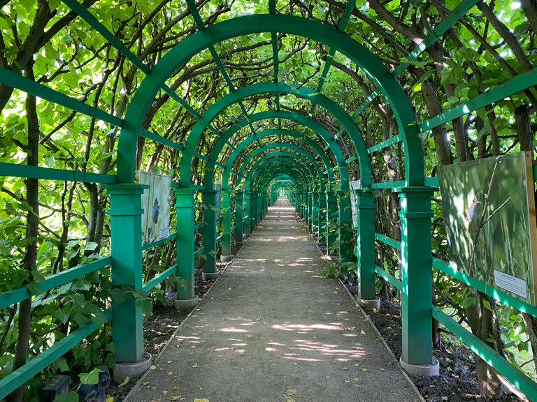 Doğa Западное берсо, Moskova ve Moskovskaya oblastı, foto