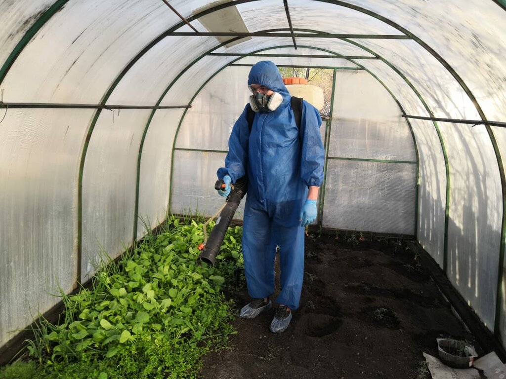 Haşere ilaçlama firmaları Ses of Solikamsk, Solikamsk, foto