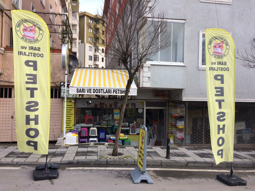 Petshop Sarı ve Dostları PetShop, İstanbul, foto