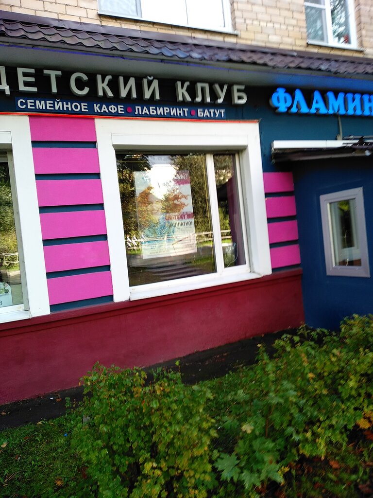 Çocuklar için kutlama organizasyonları Flamingo, Balaşiha, foto