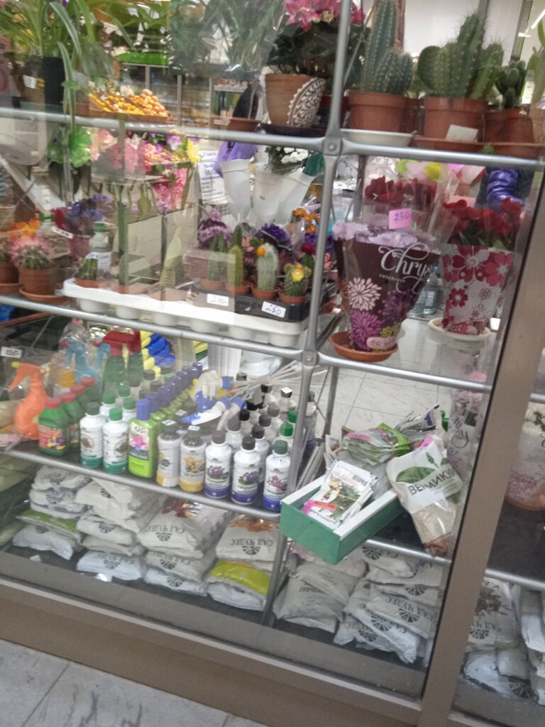 Çiçekçiler Tsvetochny salon Liliya, Vsevolgsk, foto
