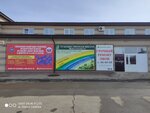 Микеланджело (ploshchad Ekodolye No:5, Ecodolie Residential Complex, selo Ivanovka), sanat okulları  Orenburgskaya oblastından