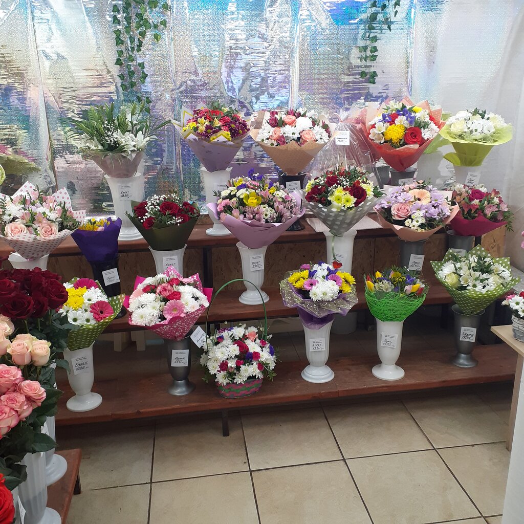 Çiçekçiler Цветы, Moskova ve Moskovskaya oblastı, foto