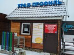 Уфимский профиль (Luchistaya ulitsa No:14, selo Zubovo), çatı ve çatı materyalleri  Başkurdistan'dan