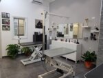 Stylist Dog Toelettatura (Via Leone XIII No:10, Caltanissetta), petshop  Caltanissetta'dan
