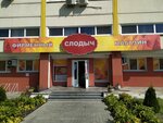 Firmennyj magazin Slodych (Radyjalnaja Street No:54), pasta, şekerleme ve tatlı  Minsk'ten