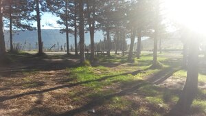 Aydos Ormanı (İstanbul, Kartal, Yakacık Yeni Mah.), parklar ve ormanlar  İstanbul'dan