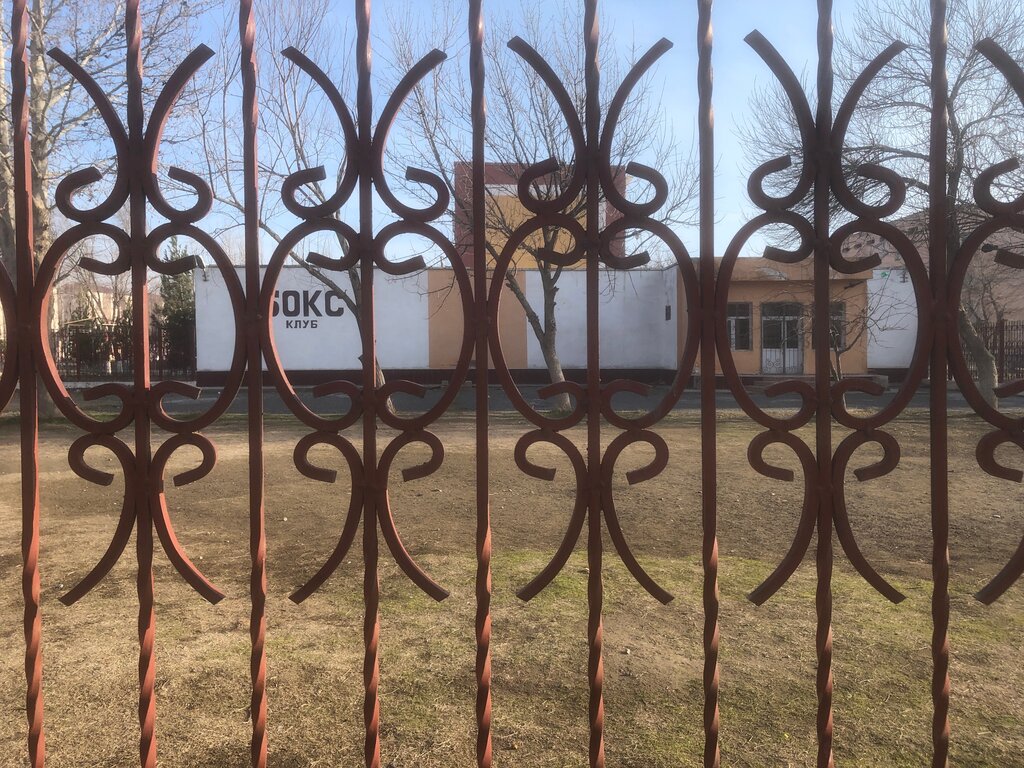 Spor okulları Boxing Club, Bekabat, foto