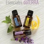 Bienestar con Esencia (Región de Ñuble, Provincia de Diguillín, Comuna de Chillán, Chillán), alternatif tıp merkezleri  Chillan'dan