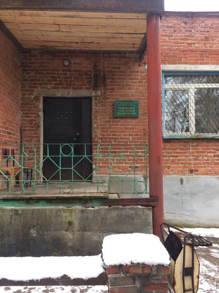 Orman işleri Режевское участковое лесничество, Rej, foto