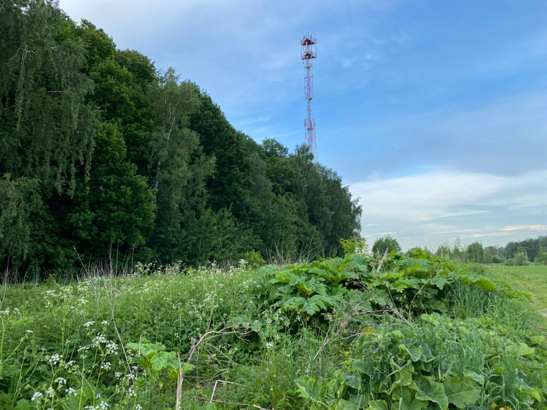 Kültür ve eğlence parkları Усадебный парк Кончеево, Moskova, foto