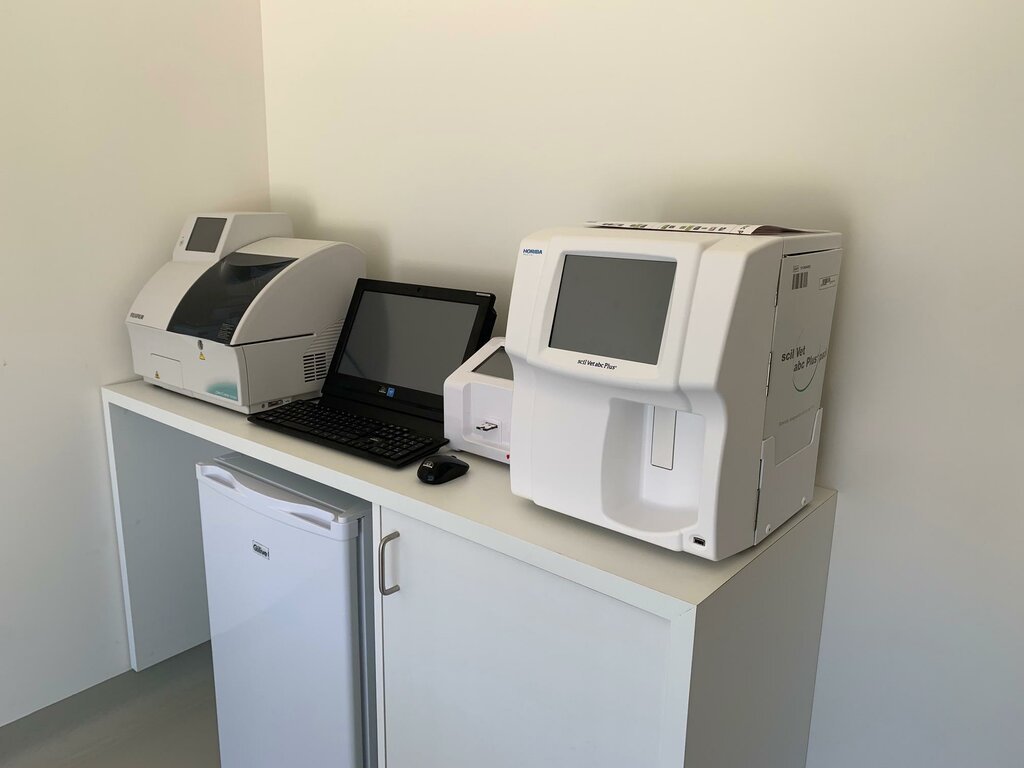 Veteriner klinikleri Clinica Veterinaria Fuentecillas, Burgos, foto