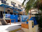Dolphin Dive Centre (South Sinai Governorate, Sharm El Sheikh, Passage Street), dalış kulüpleri ve eğitim merkezleri  Şarm El‑Şeyh'ten