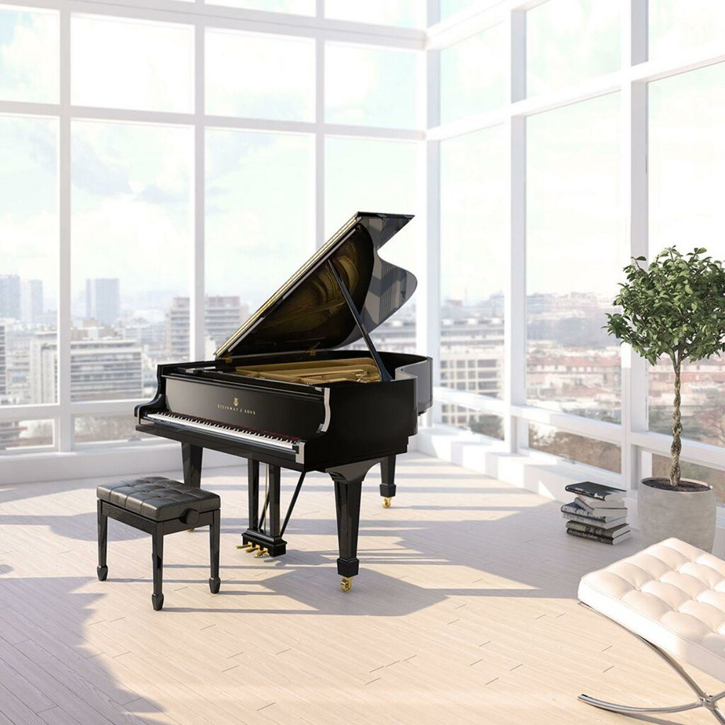 Müzik enstrumanların tamiri Steinway Piano Gallery Kansas City, Lenexa, foto