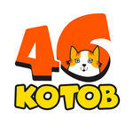 46Kotov (Karl Marx Street No:6), masa oyunları ve zeka geliştirici oyunlar  Kursk'tan