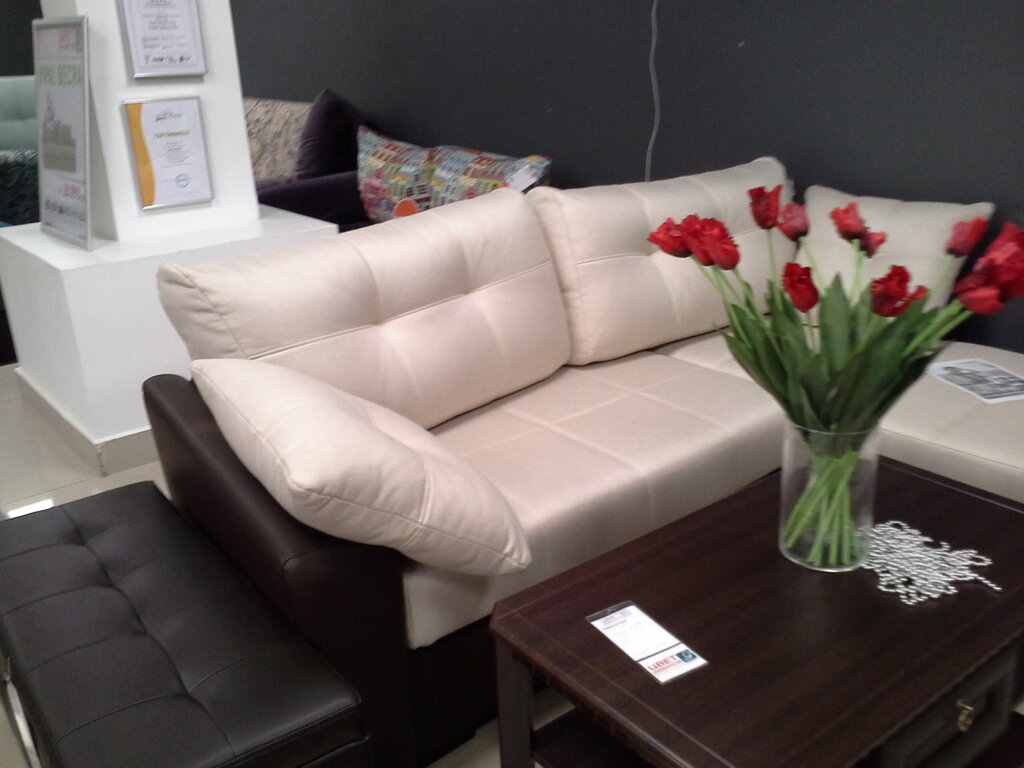 Mobilya mağazaları Rival, Moskova, foto